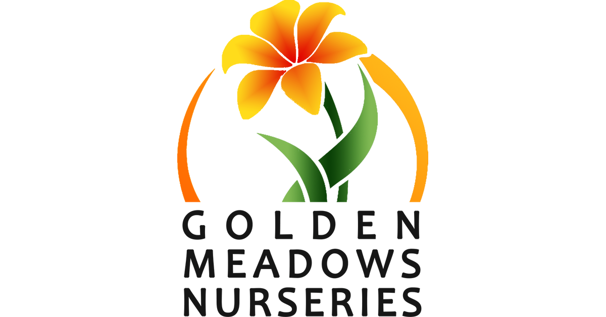 Ordering Info – Golden Meadows Nursery(PTY)LTD